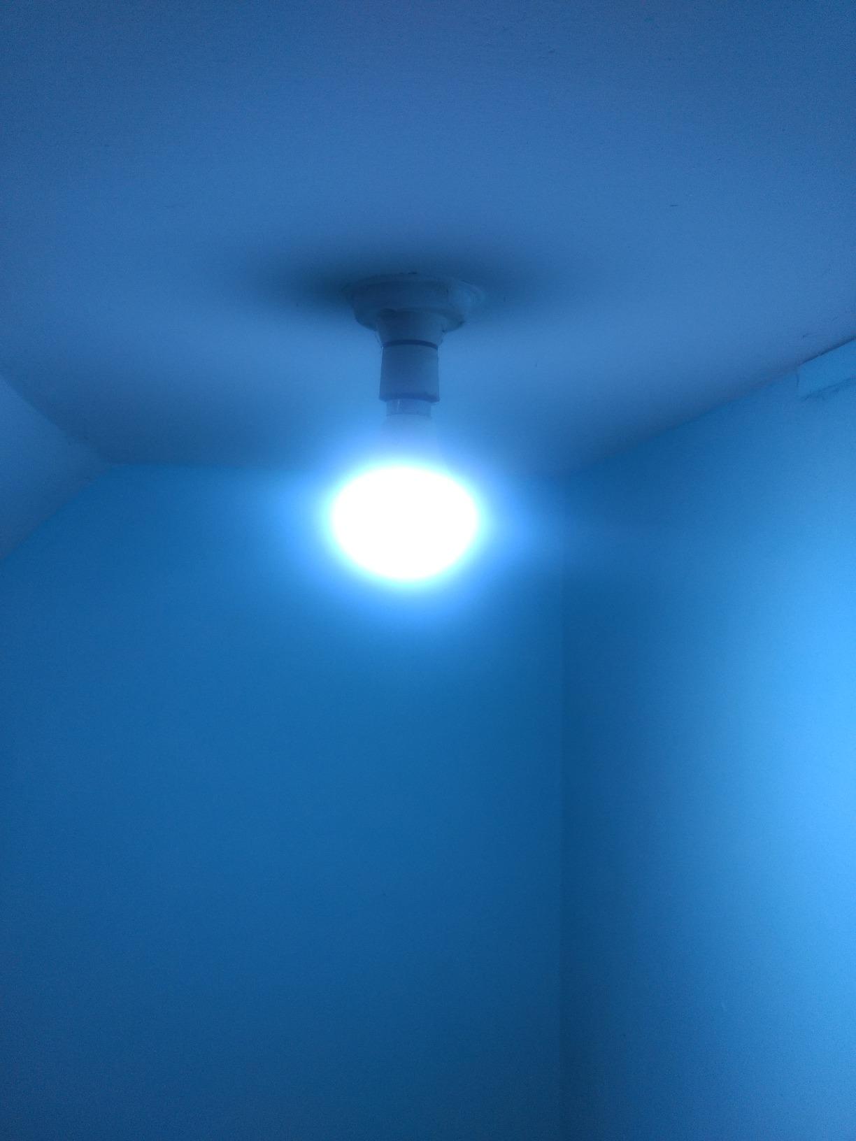 Buy Havells Adore 0.5 lb 10 Watt LED Bulb (Cool Day Light) - Pack of 3 ...