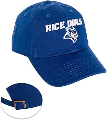 Amazon.com: Desert Cactus Rice University Baseball Hat Owls Brimmed ...