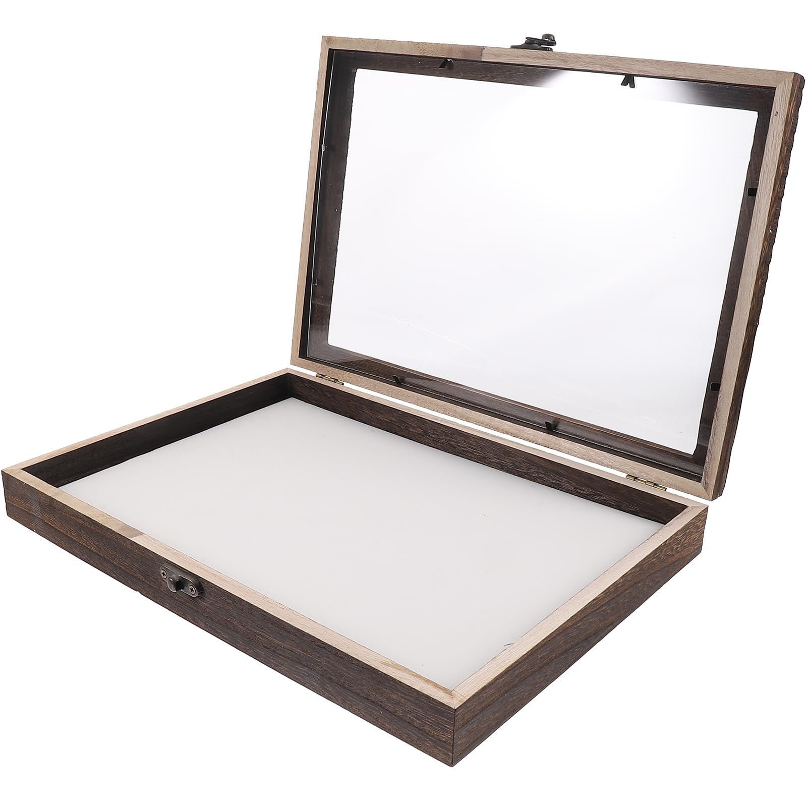 Amazon.com: Cabilock Display Box Case: Wooden Collection Box with Clear ...