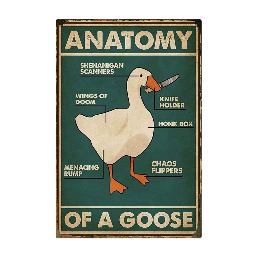 Amazon.com : Tin Sign Anatomy Of A Goose Retro Metal Poster House Home ...