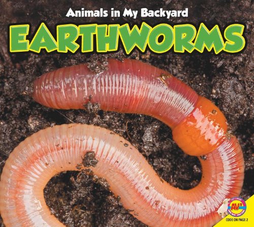 Earthworms (Animals in My Backyard): Carr, Aaron: 9781621272151: Amazon ...