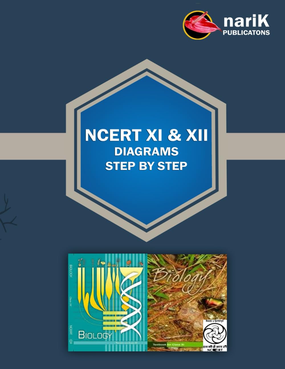 Buy NCERT XI and XII biology diagrams step by step: Biology diagrams in ...