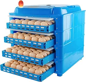 Amazon.com: ZAPION Fertilized Duck Eggs Hatching 64-320 Eggs Fully ...