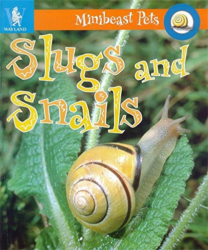 Slugs and Snails : Greenaway, Theresa: Amazon.co.uk: Books