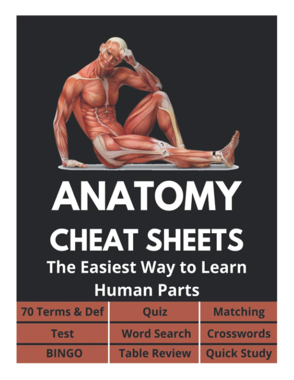 Buy Anatomy Cheat Sheets 70 Terms Def Quiz Matching Test Word Buy Anatomy Cheat Sheets 70 Terms Def Quiz Matching Test Word