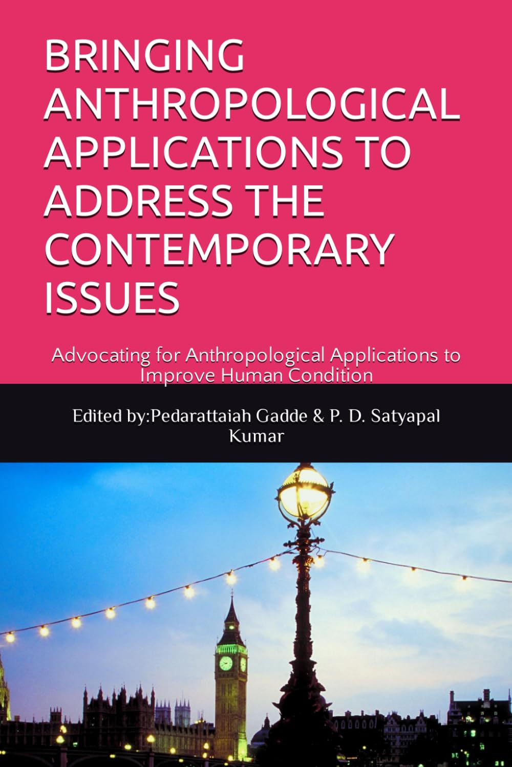 BRINGING ANTHROPOLOGICAL APPLICATIONS TO ADDRESS THE CONTEMPORARY ...