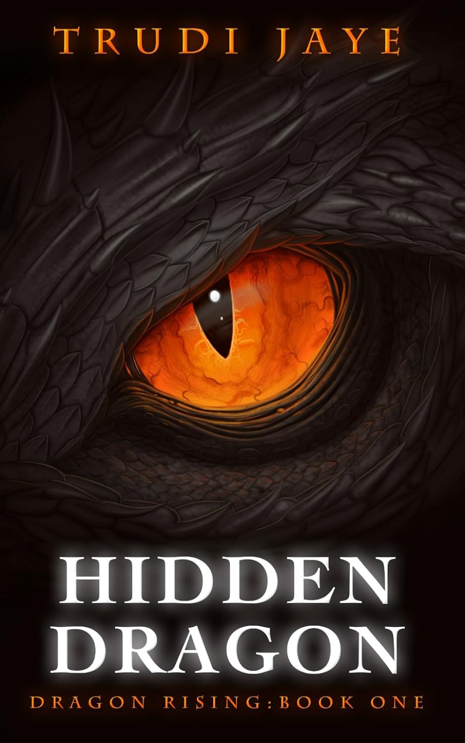 Hidden Dragon (Dragon Rising Urban Fantasy Series): Jaye, Trudi ...
