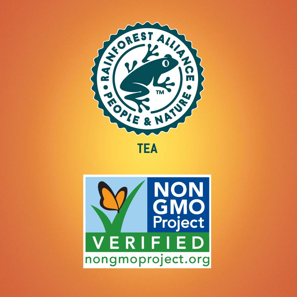 Buy Tejava Lemon Flavored Unsweetened Black Tea, Non-GMO Verified ...