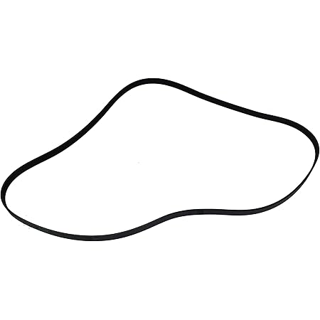 Amazon.com: Mopar Serpentine Belt - 4593684AA : Automotive