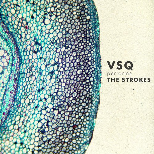 Amazon.com: VSQ Performs The Strokes : Vitamin String Quartet: Digital ...