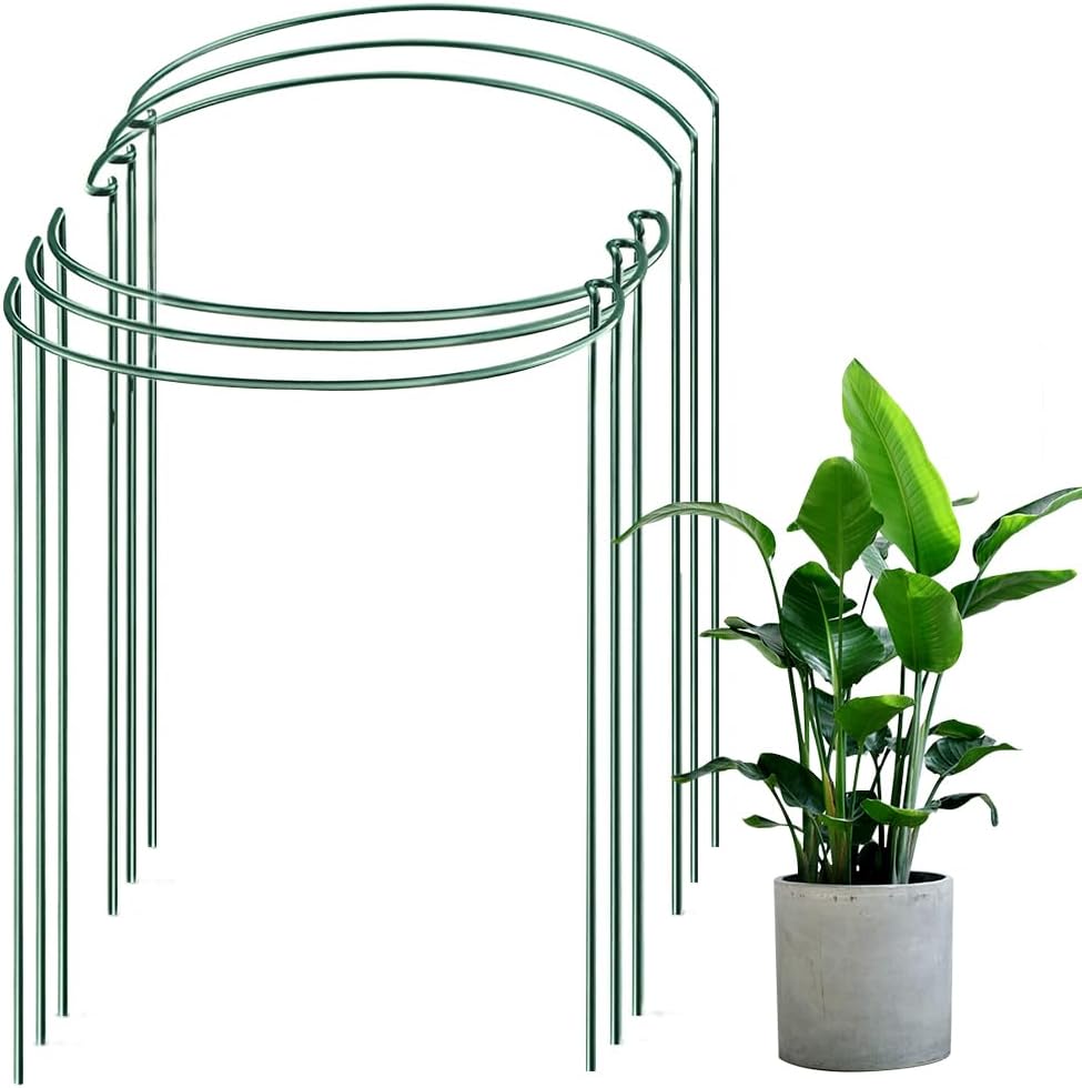 Amazon.com : JOYSEUS 6 Pack Plant Support Stakes, Metal Garden Plant ...