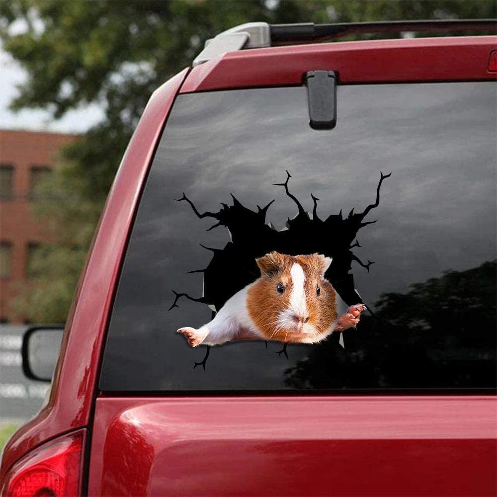 Amazon.com - Cute Guinea Pig Car Decals, Wall Decals Stickers Realistic ...