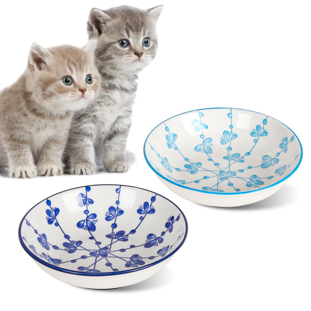 Amazon.com : HAPPY KIT 2pcs Ceramic Cat Food Bowls Set,8.5oz Colorful ...