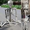 Amazon.com: 2023 New 70/90/170cm Halloween Skeleton Prop Human Life ...