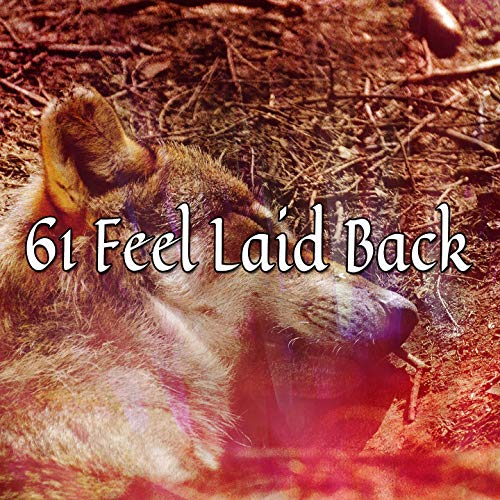 Play 61 Feel Laid Back by Rest & Relax Nature Sounds Artists on Amazon ...
