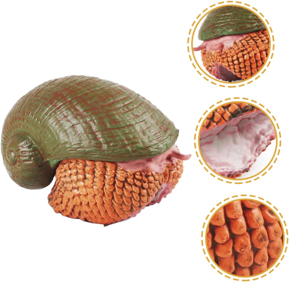 TOYANDONA 4pcs Snail Model Desktop Toys Sea Animals Plastic Playes ...
