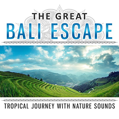 Discover the Alluring World of Exotic Scapes: 10 Must-Have Products ...