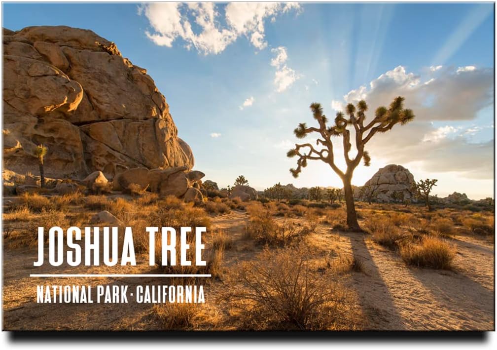Amazon.com: Joshua Tree Fridge Magnet National Park Travel Souvenir ...