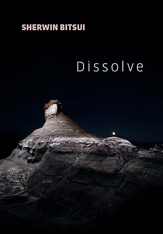 Amazon.com: Dissolve: 9781556595455: Bitsui, Sherwin: Books
