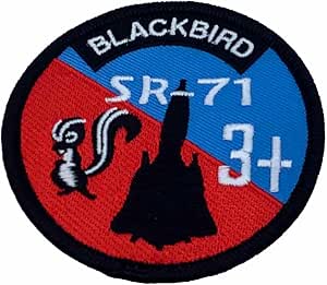 Amazon.com: Squadron Nostalgia LLC Skunk Works® SR-71 Blackbird® 3 ...