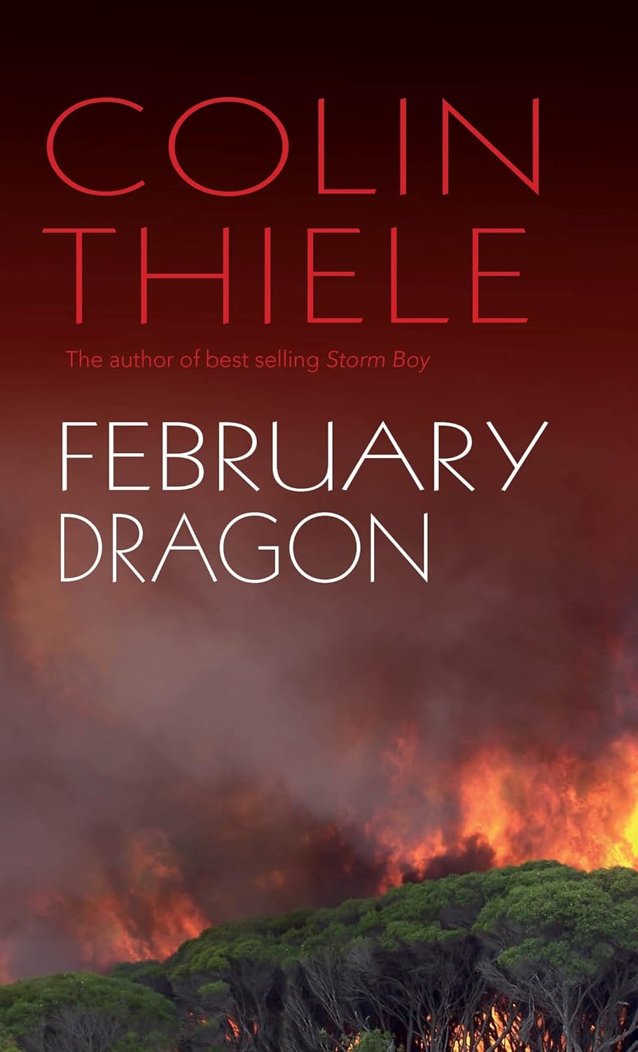February Dragon: Thiele, Colin: 9781741102390: Amazon.com: Books
