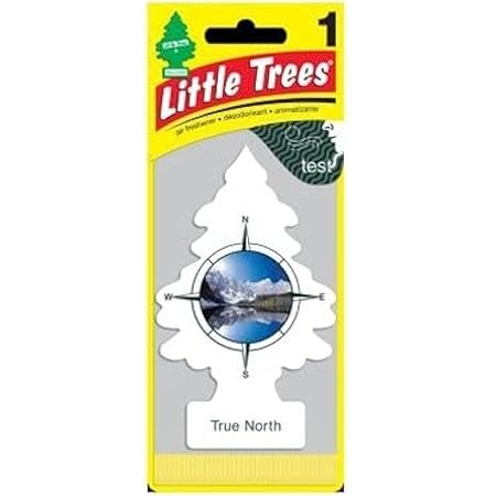 Amazon.com: Little Trees Car Air Freshener 6-Pack (True North) : Automotive
