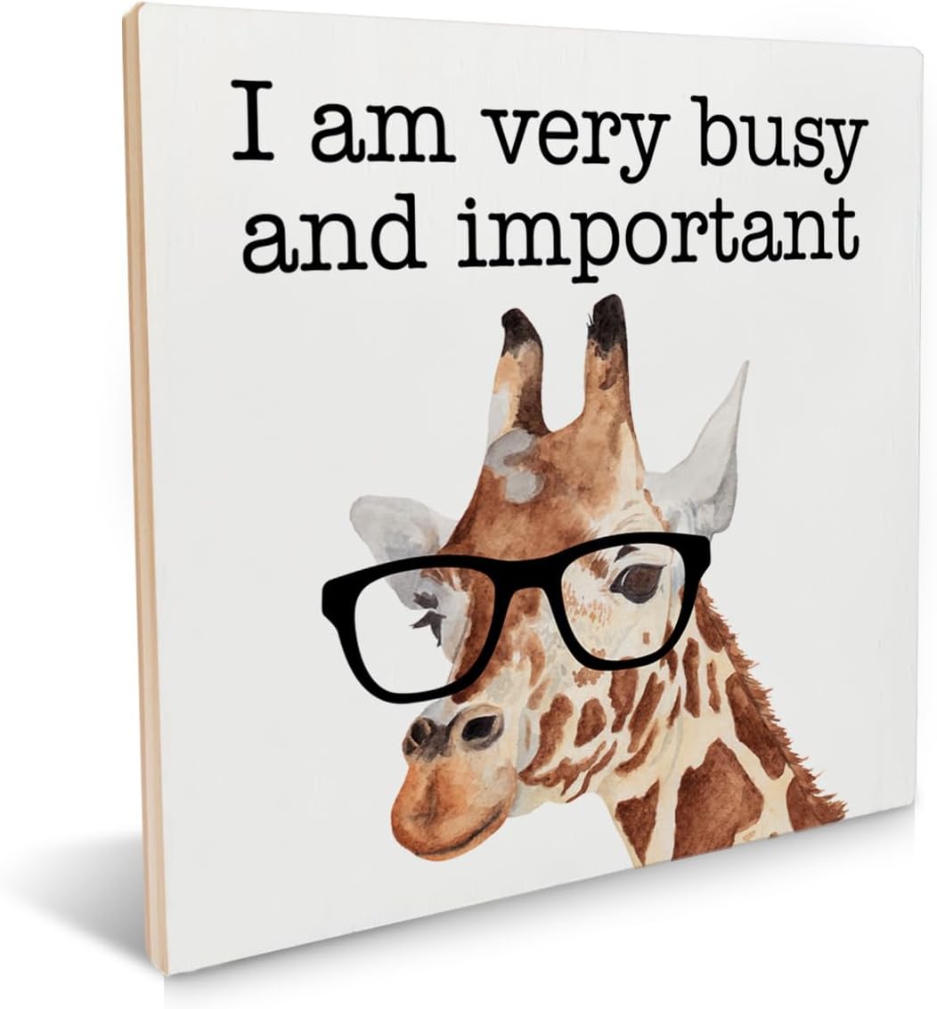Amazon.com: Funny Office Sign Decor I Am Very Busy and Important Wood ...