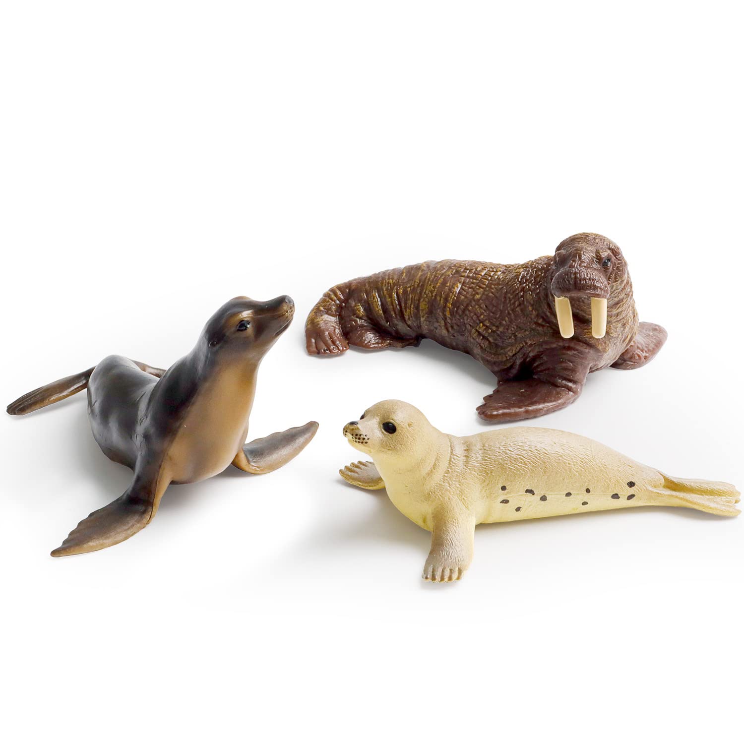 Walrus Birthday Cake