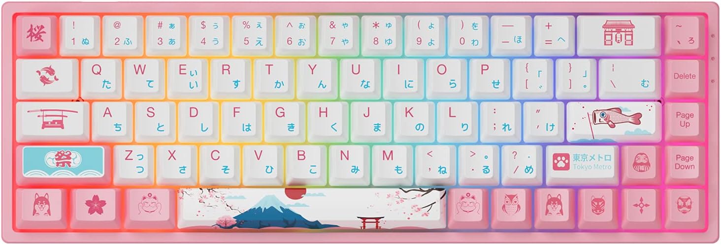 Amazon.com: Akko World Tour Tokyo R2 Bluetooth 5.0 65% 68-Key RGB Pink ...