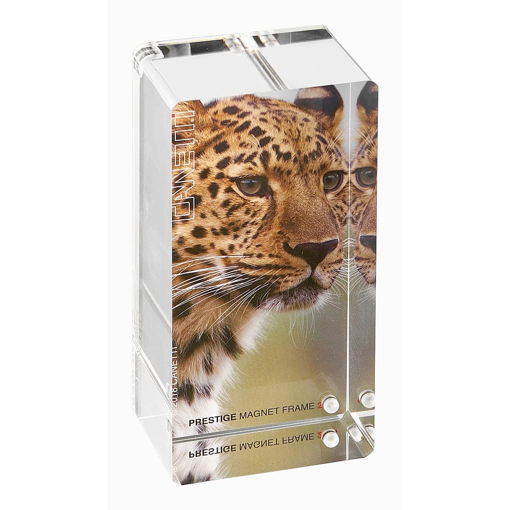 Amazon.com - Canetti Original Magnet Frame 2x4 Prestige Magnetic ...