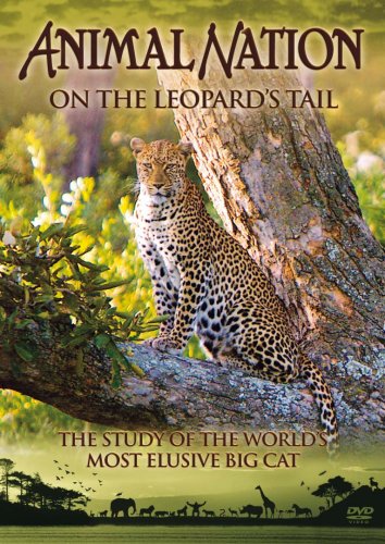 Amazon.com: Animal Nation - On The Leopard's Tail [DVD][UK Import ...