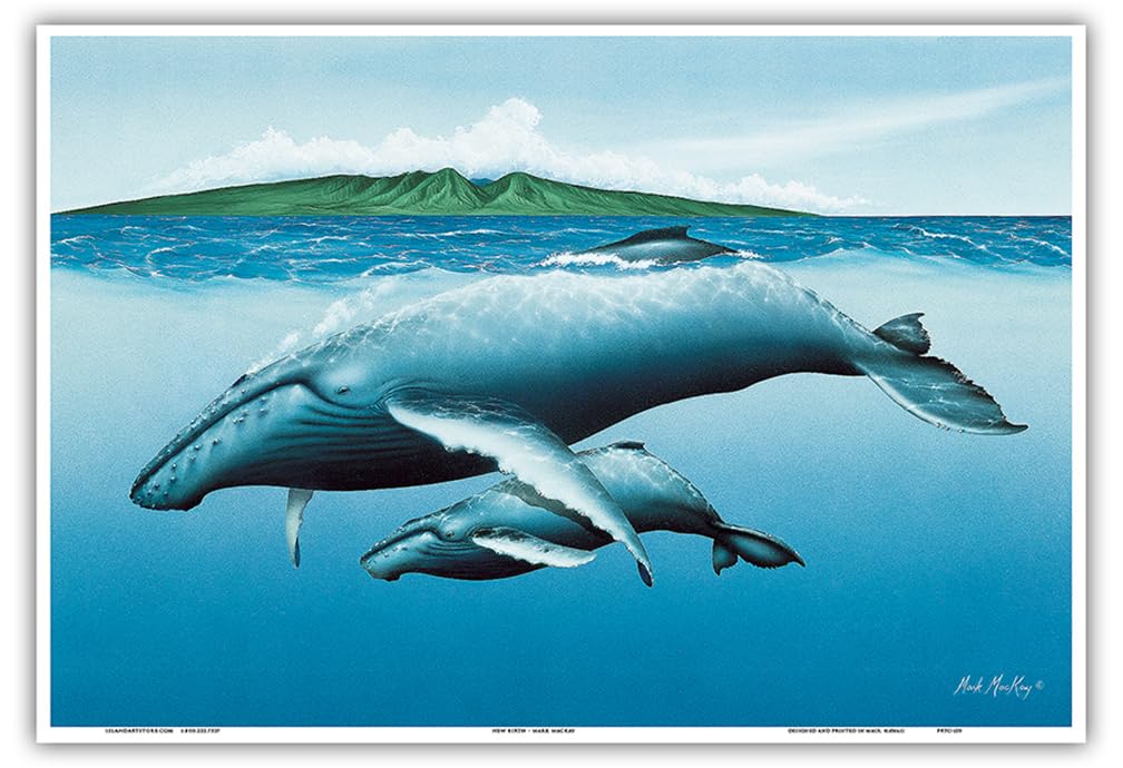 Humpback Whale Clip Art