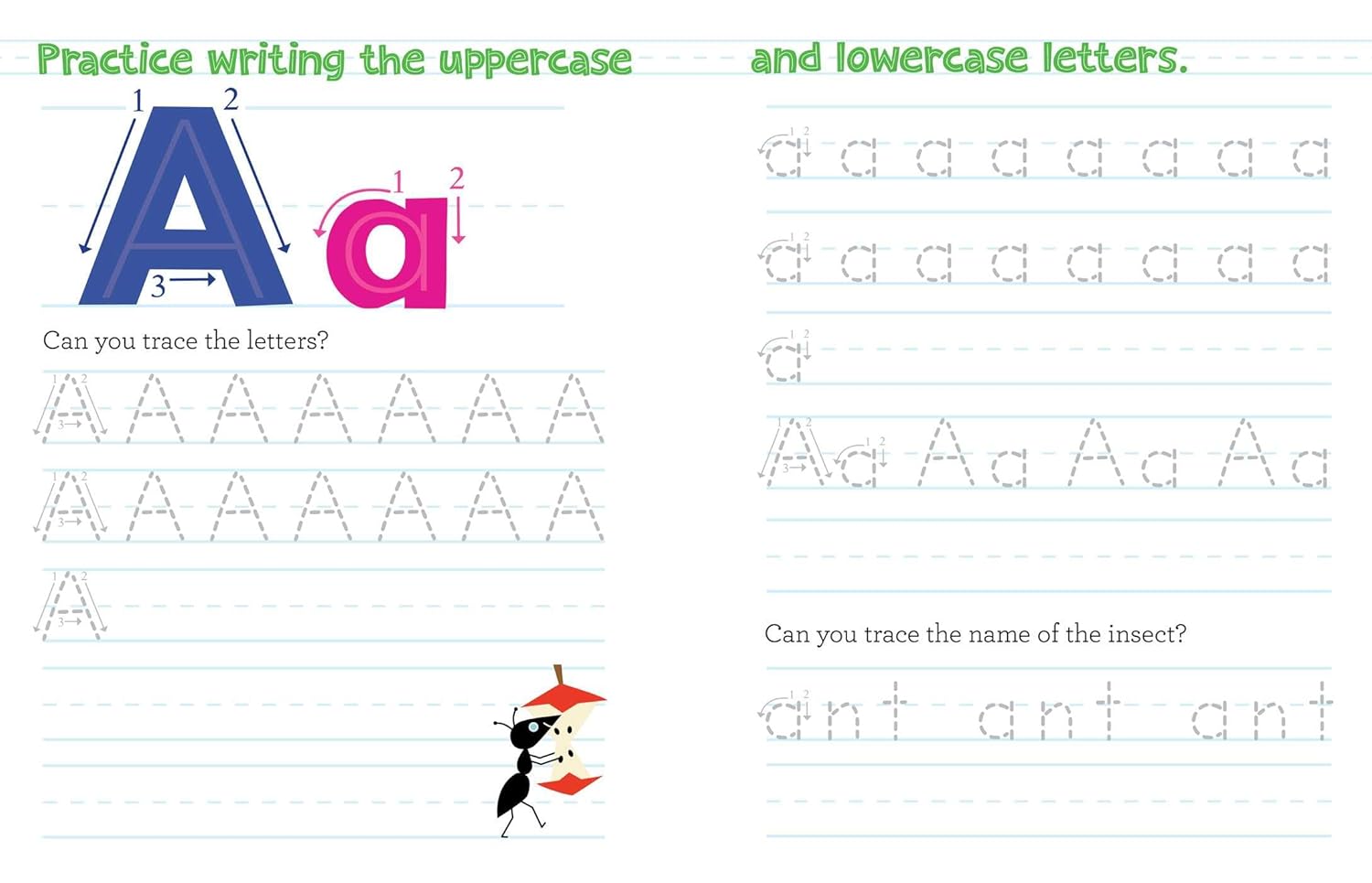 Master Writing Early: Chicka Chicka Boom Boom Workbook Review for ...