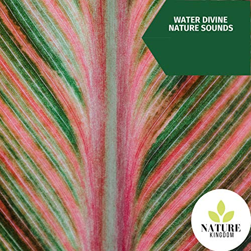 Amazon.com: Water Divine Nature Sounds : Eugene Robert: Digital Music