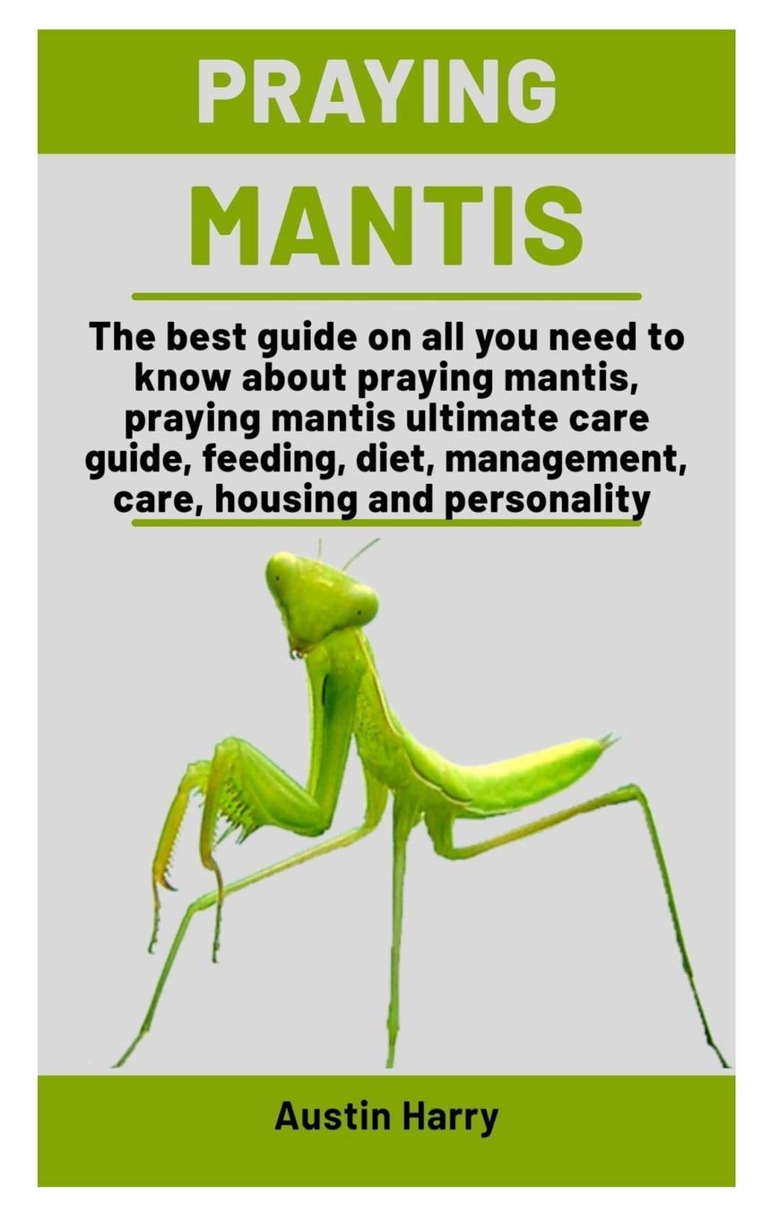 Buy Praying Mantis: The best guide on all you need to know about ...