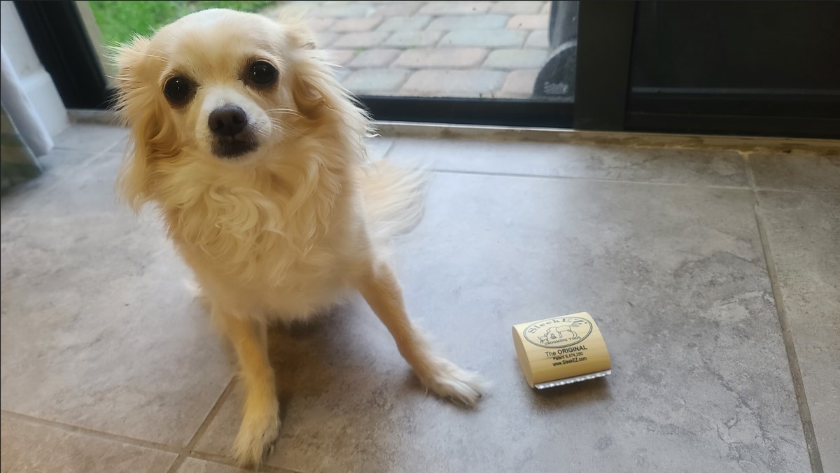 Watch HONEST review of the SleekEZ Deshedding Grooming Tool on Amazon Live