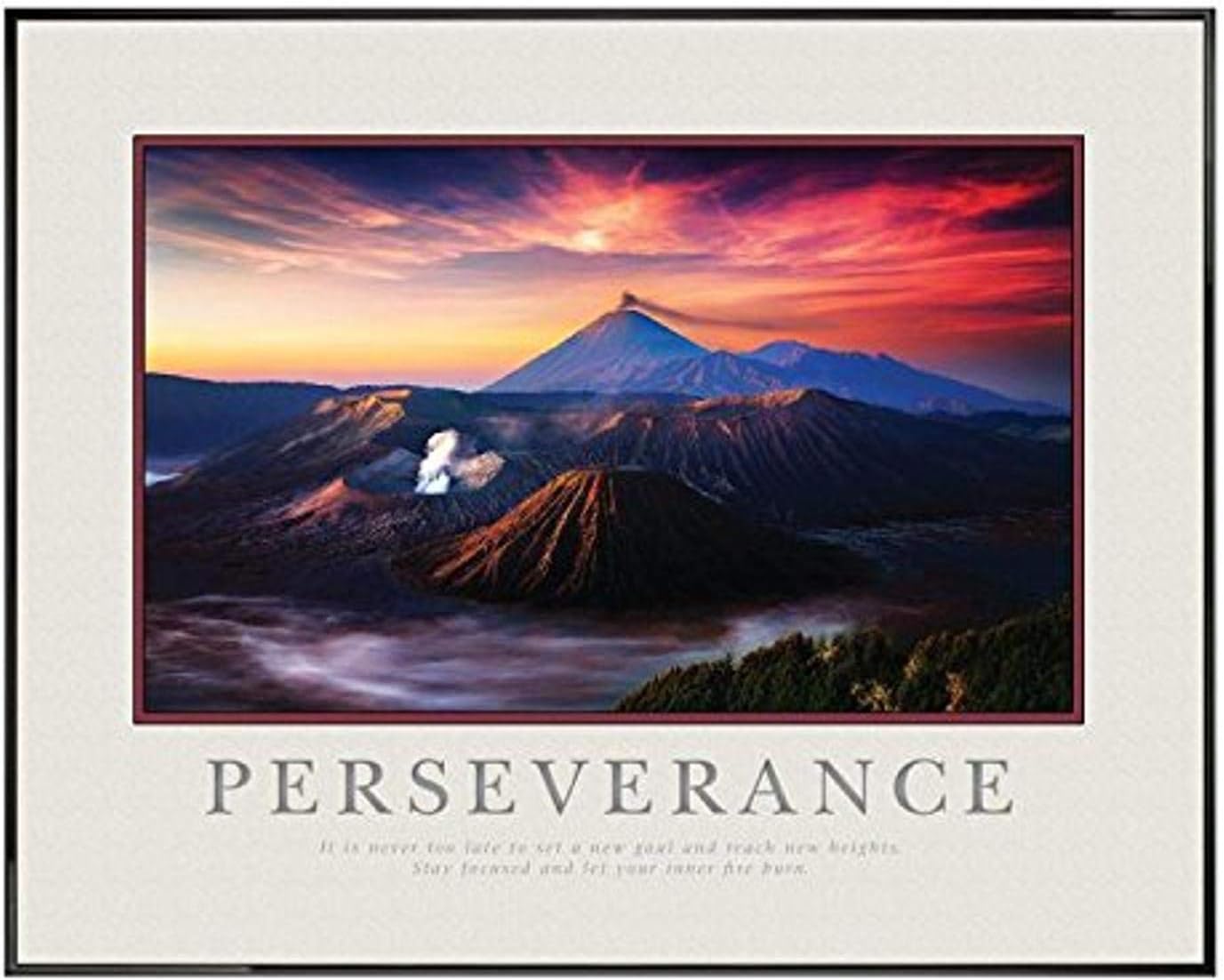 Amazon.com - Successories 25 in. Black Aluminum Frame, Neutral Accent ...