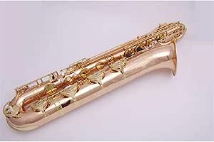 Amazon.com: Professional Sax Instrument Saxophone Brass Tube Gold ...