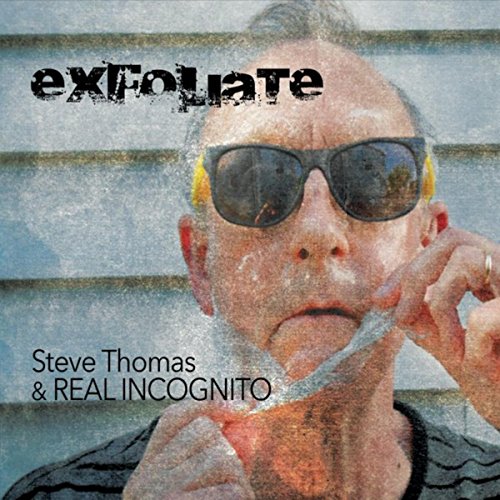 Amazon.com: Exfoliate : Steve Thomas & Real Incognito: Digital Music