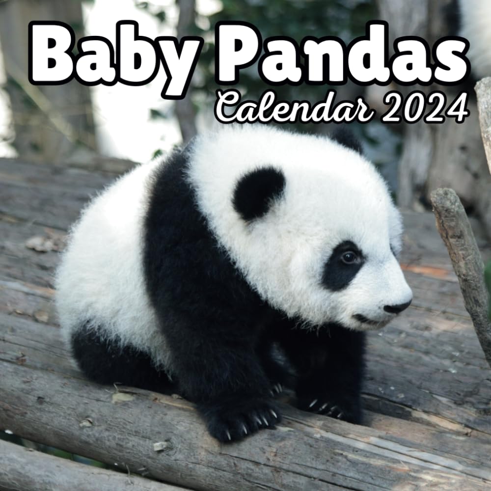 Baby Pandas Calendar 2024: 16 Months Calendar ,Schedule Organizer From ...