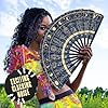 Amazon.com: GloFX Rave Fan - Zodiac Signs - Large Folding Hand Fan ...