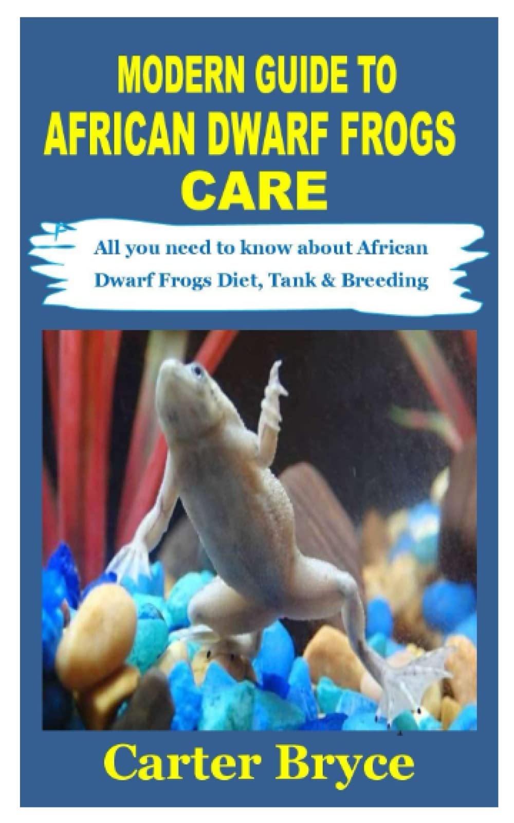 Buy MODERN GUIDE TO AFRICAN DWARF FROGS CARE: All you need to know ...