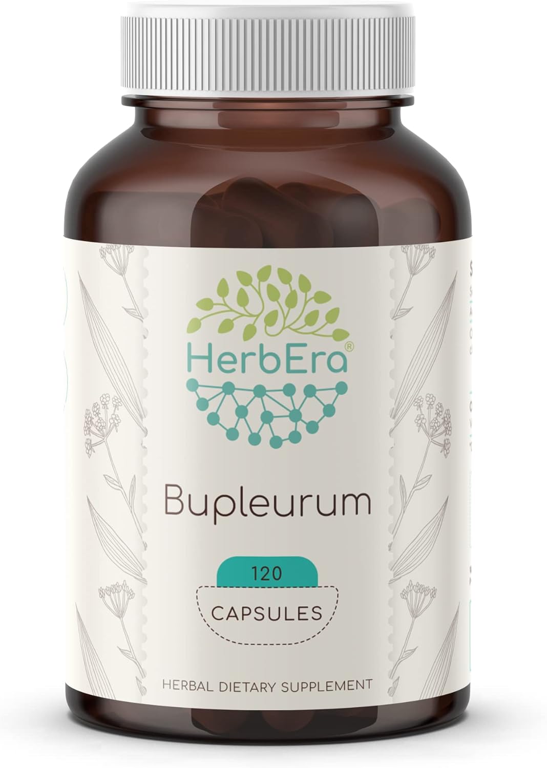 Amazon.com: HerbEra Bupleurum 120 Capsules, 500 mg, Bupleurum ...