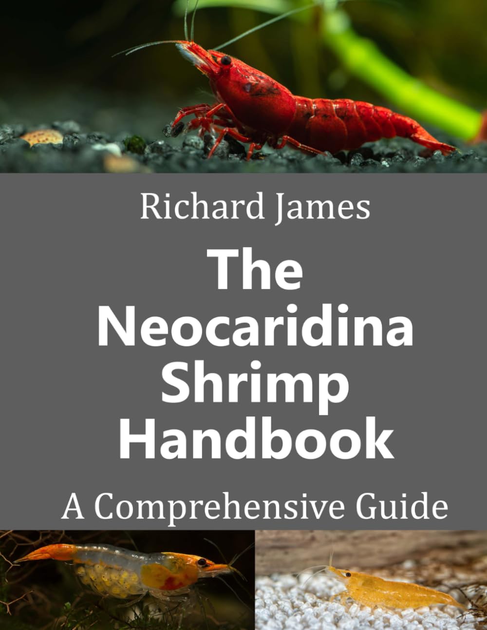 The Neocaridina Shrimp Handbook: A complete guide to Cherry Shrimp ...