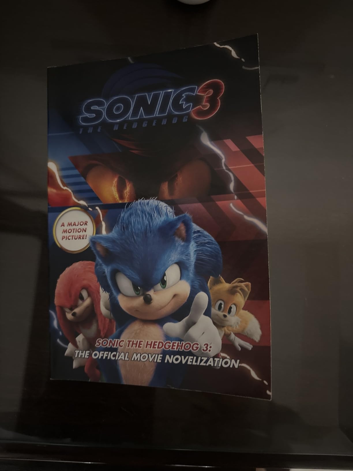Sonic the Hedgehog 3: The Official Movie Novelization : Phegley, Kiel ...