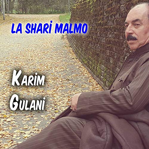 La Shari Malmo de Karim Gulani en Amazon Music Unlimited