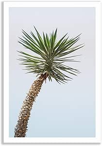 Amazon.com: Yucca Minimal Poster 50 x 70 cm
