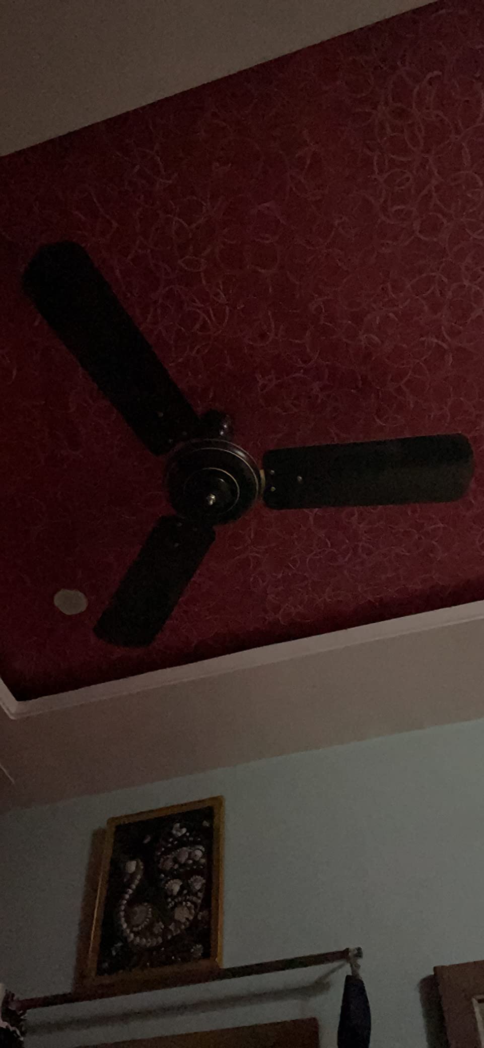 Buy Cinni 1200MM Regular Ceiling Fan Black Online at Low Prices in ...