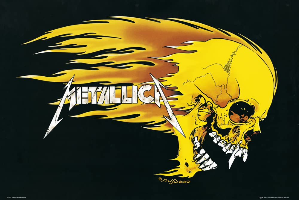 Metallica Skull Wallpaper