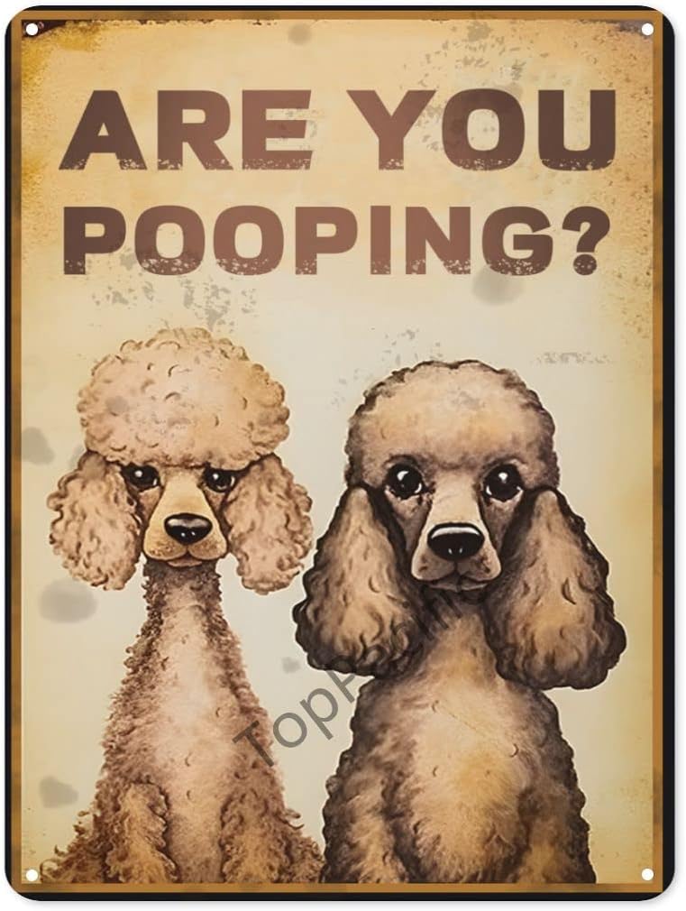 Amazon.com : Retro Metal Tin Sign Poodle Drink Know Things Sign for ...